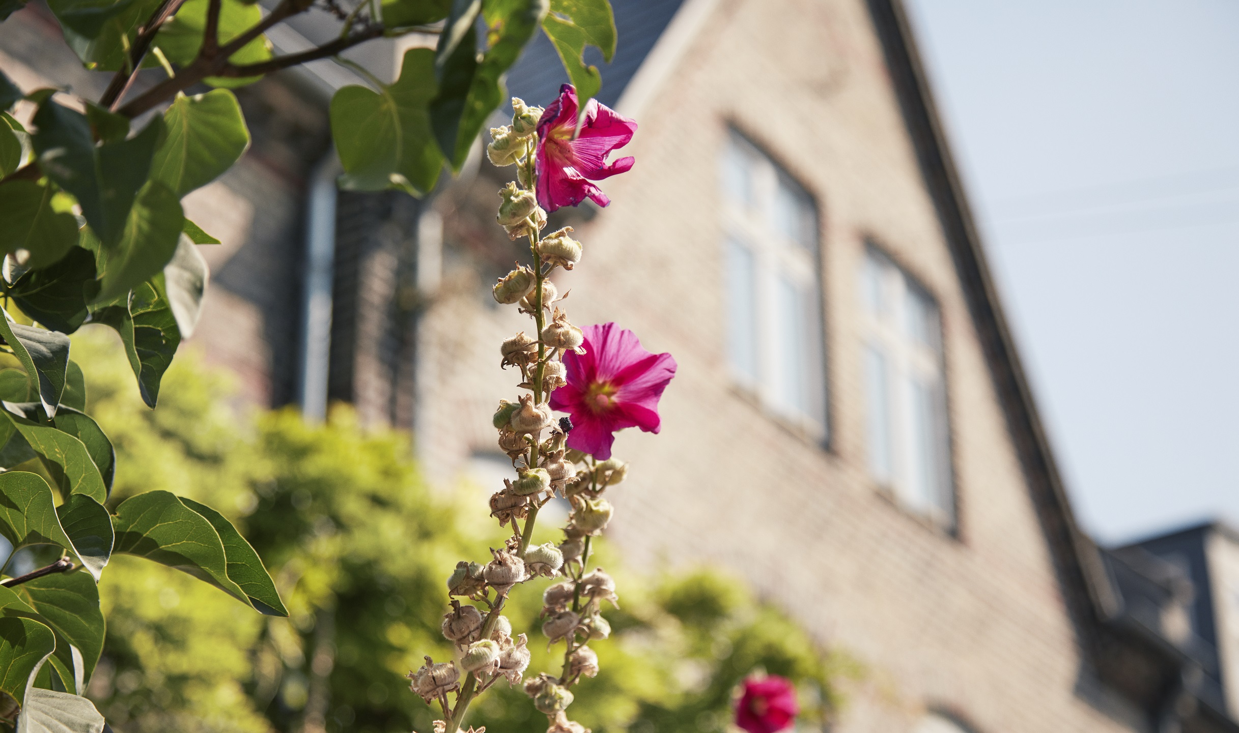 Realkredit Danmark - Privat